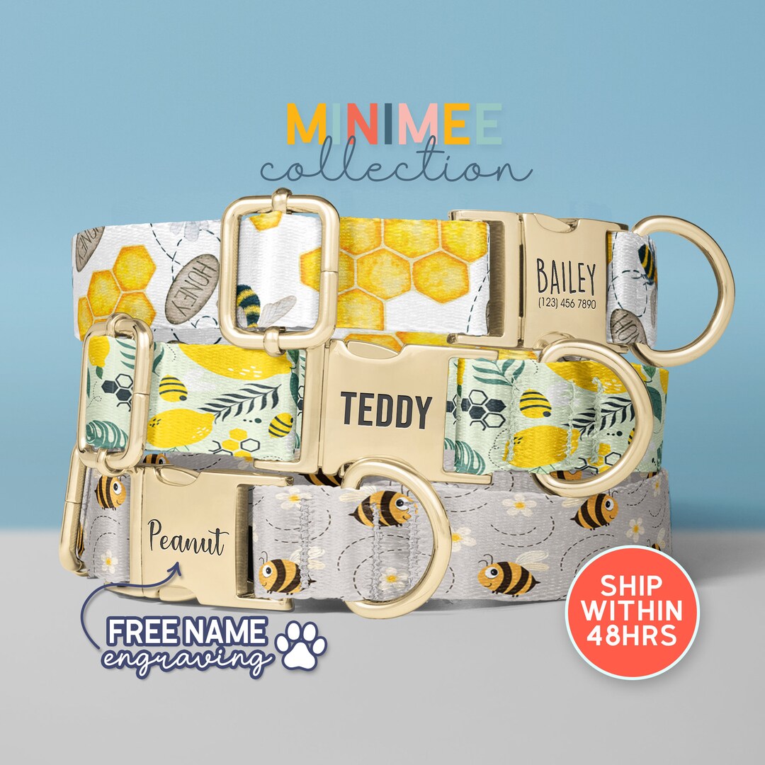 Personalized Yellow Bumblebee Bee Dog Collar Set With Name, Adjustable ...