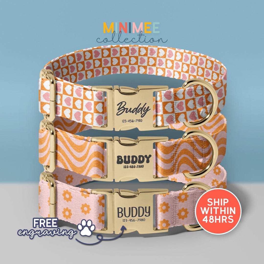 Funky Flowers Dog Collar With Name, Engraved Dog Collars, Retro Girl ...