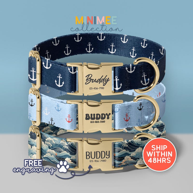 Leather Dog Collar Beach - Etsy