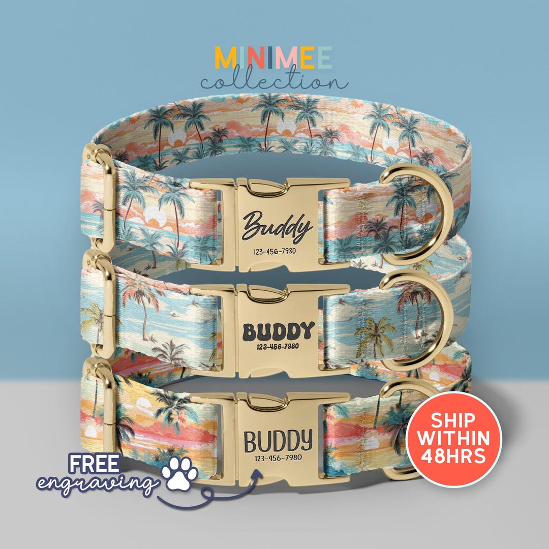 Beach Dog Collar, Personalized Dog Collar With Name, Dog Days Gift, Dog ...