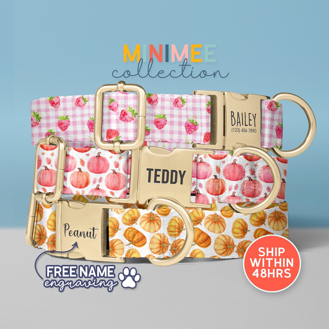 Custom Pumpkin Halloween Dog Collar With Leash, Ghost Dog Collar ...