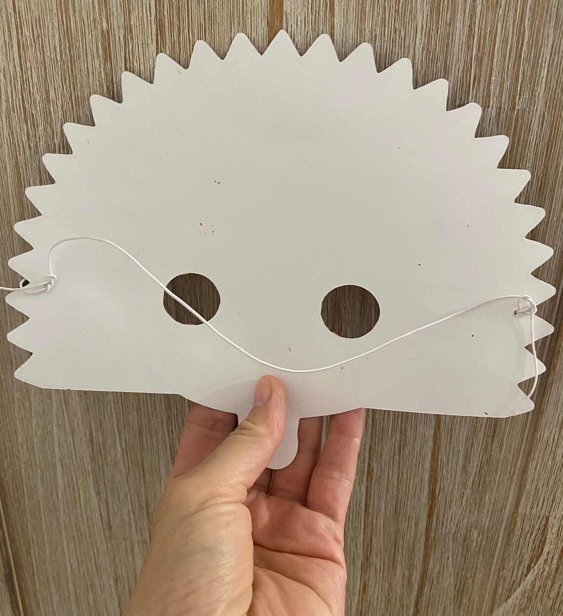 Australian Animal Echidna Mask, Craft Making Set of 2 Mask Kit for ...