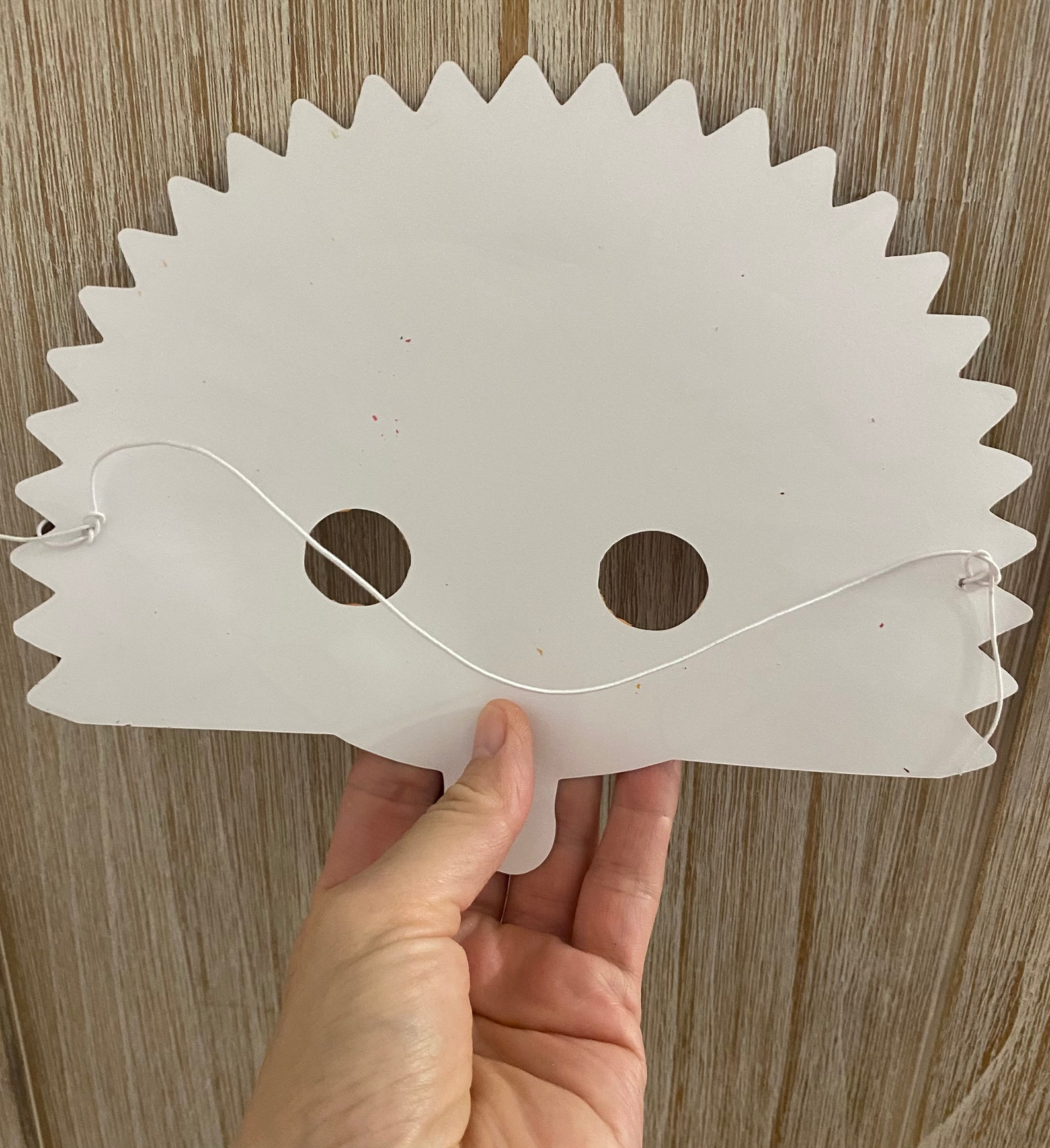 Australian Animal Echidna Mask, Craft Making Set of 2 Mask Kit for ...