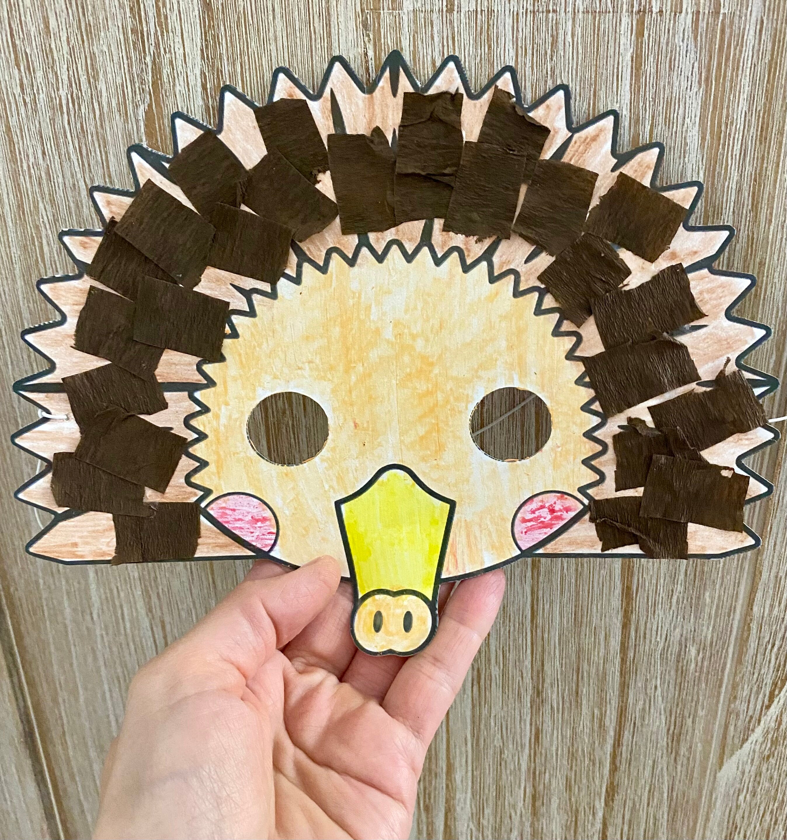 Australian Animal Echidna Mask, Craft Making Set of 2 Mask Kit for ...