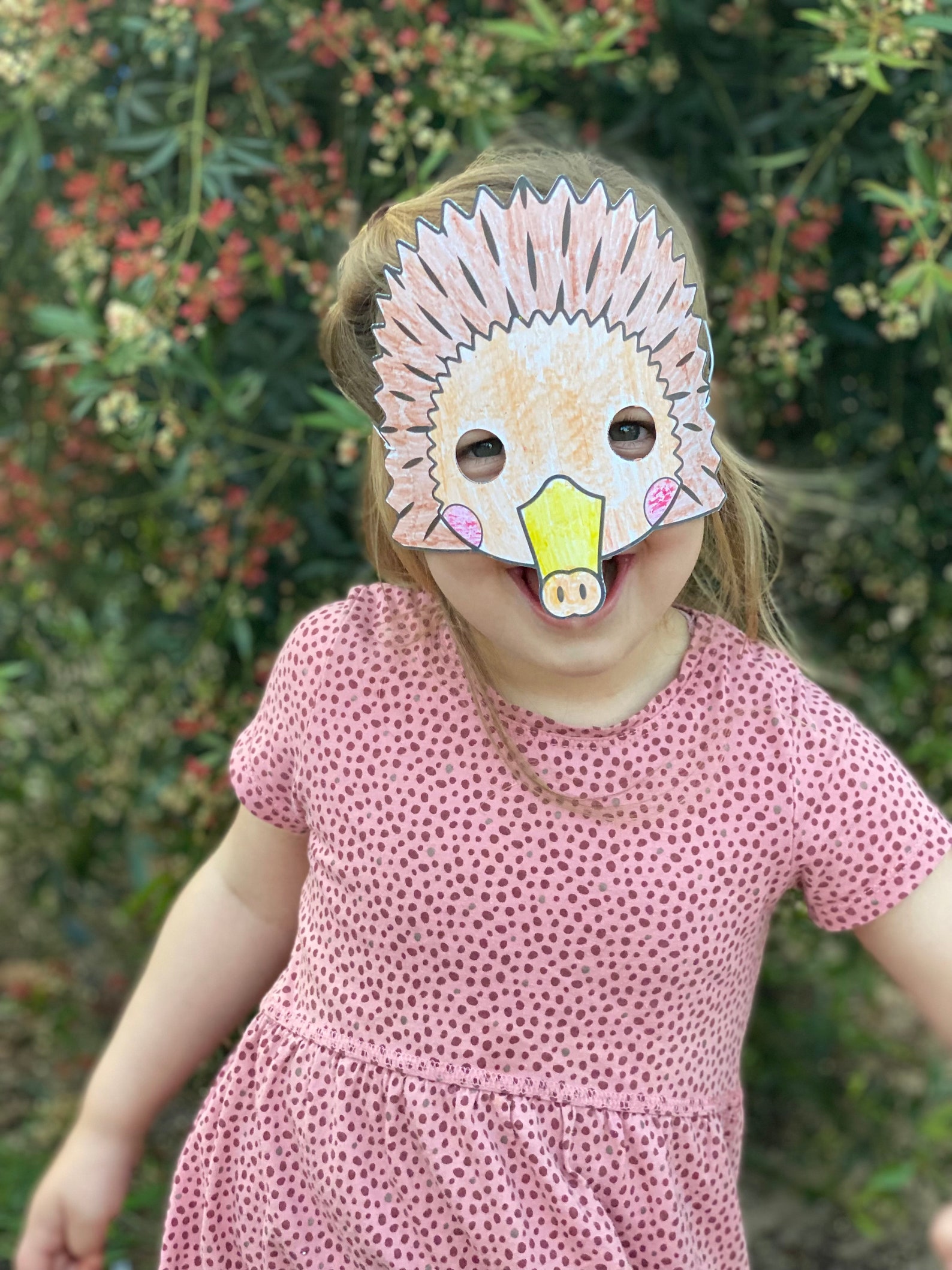 Australian Animal Echidna Mask, Craft Making Set of 2 Mask Kit for ...