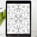 Printable Ojibwe Floral Coloring Pages by Mazinibiidesigns 2 Pages ...