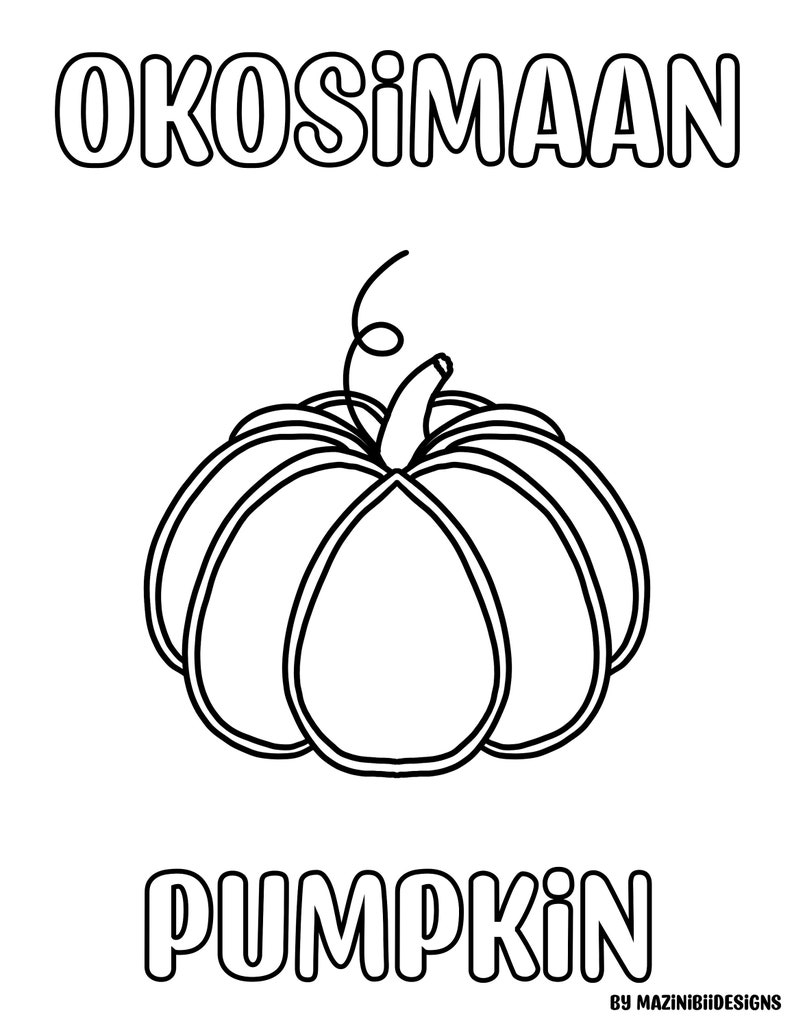 Printable Ojibwe Floral Coloring Pages by Mazinibiidesigns 5 Pages ...