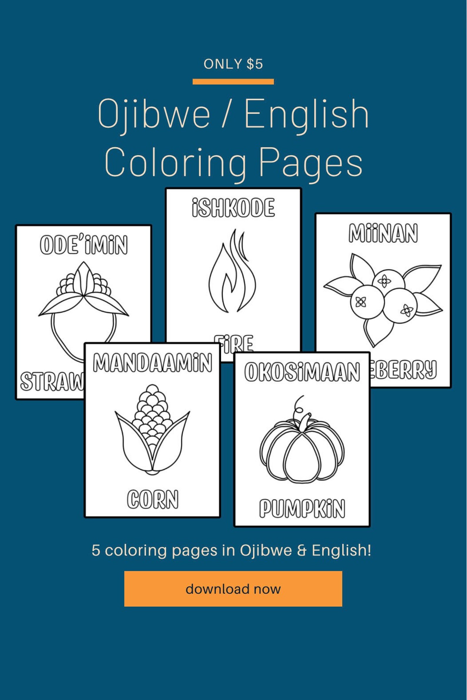 Printable Ojibwe Floral Coloring Pages by Mazinibiidesigns 5 Pages ...
