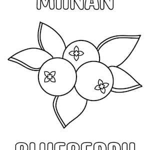 Printable Ojibwe Floral Coloring Pages by Mazinibiidesigns 5 Pages ...