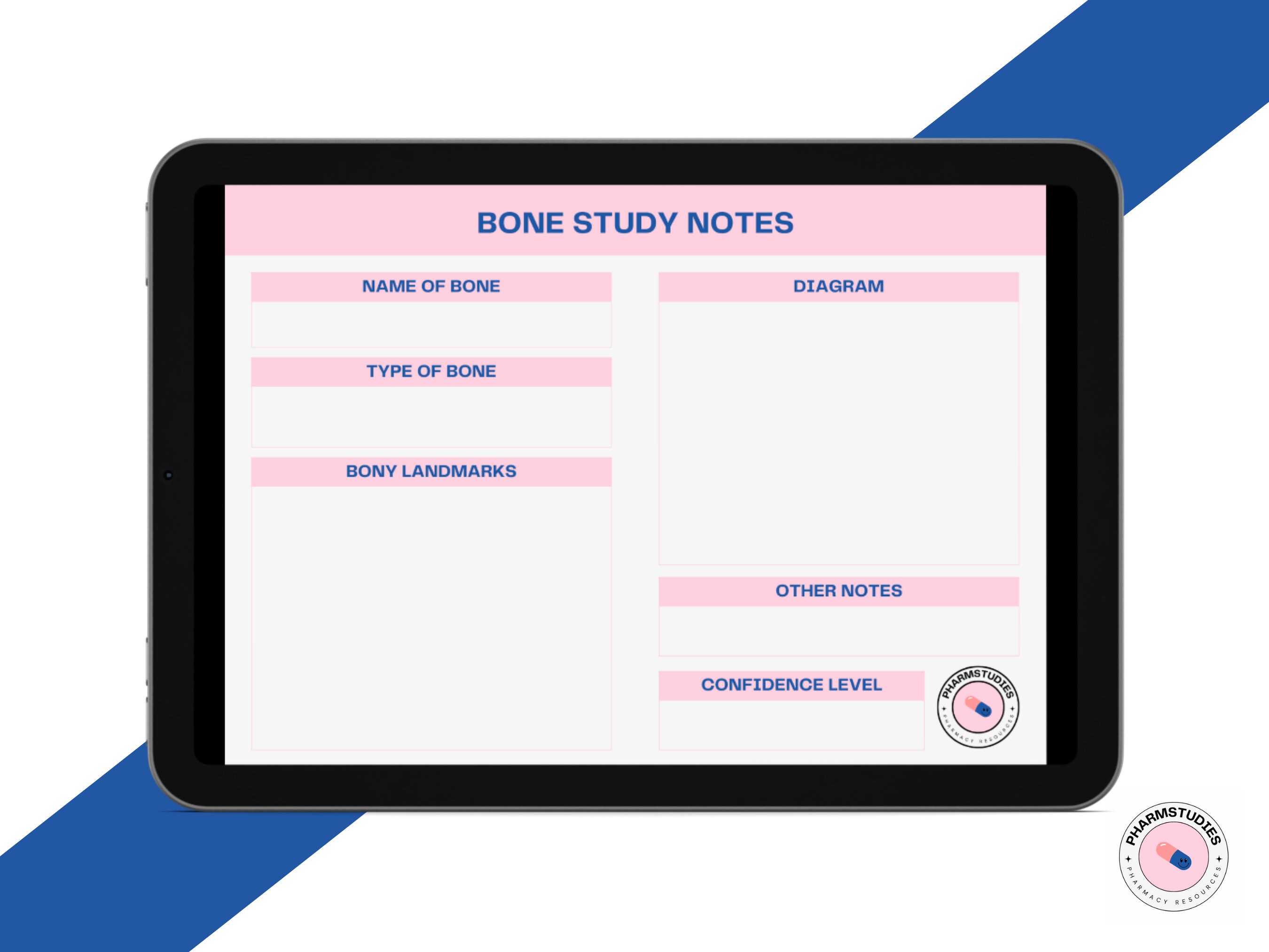 Bone Study Template Blank - Etsy