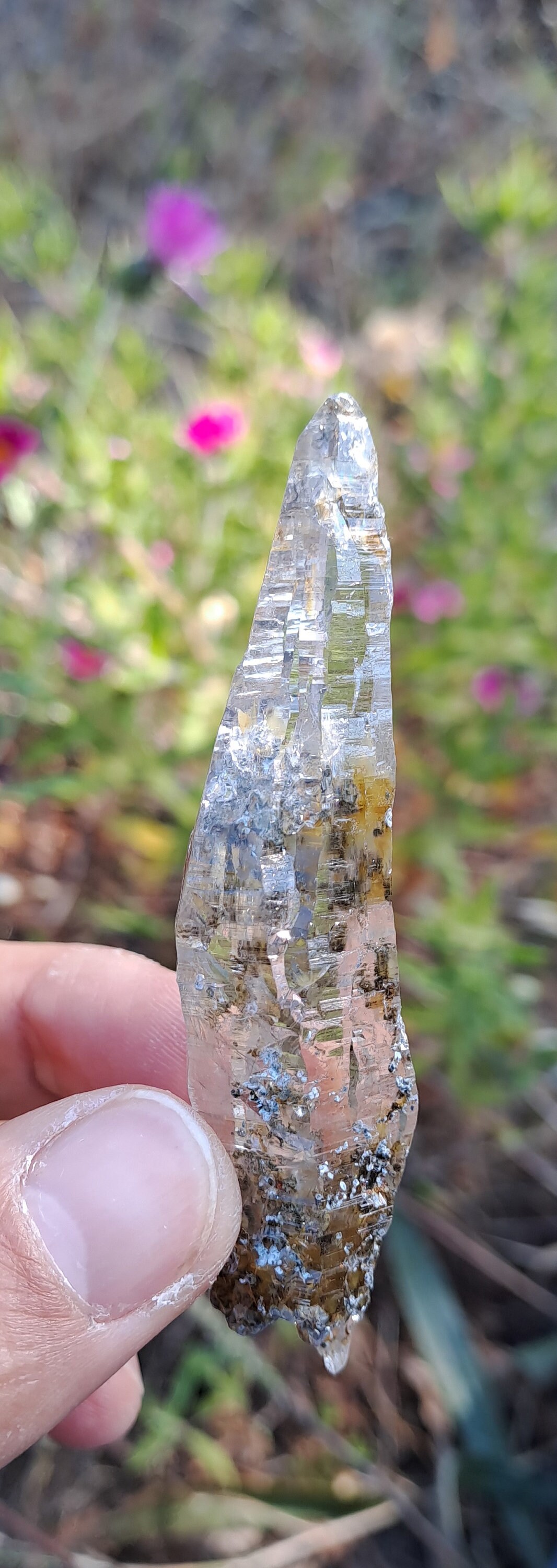 Himalayan Hashupi Tessin Habit Quartz, Double Terminated, Alien Quartz ...