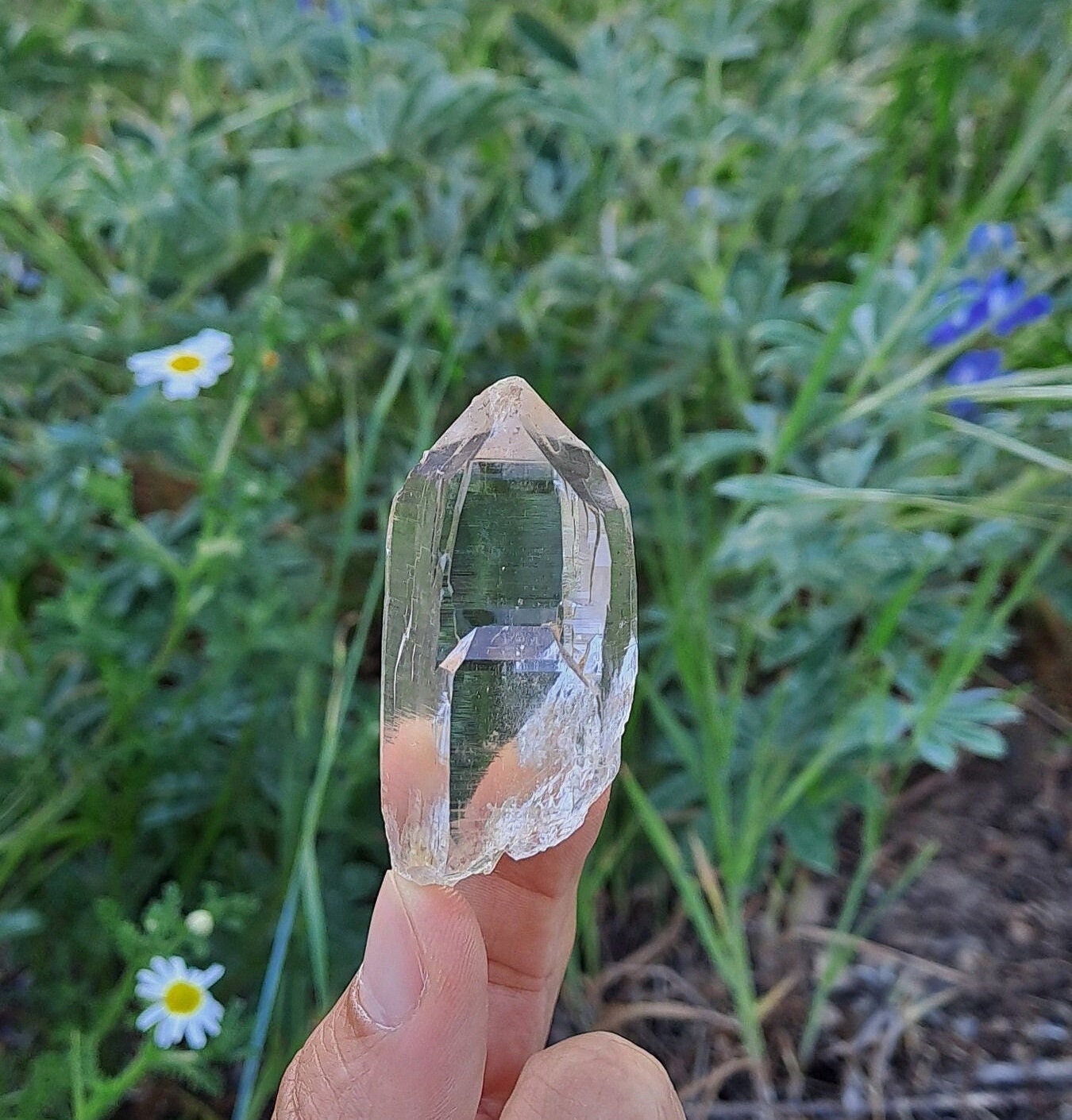 Optical Himalayan Hashupi Cathedral Quartz Crystal Self Healed W ...