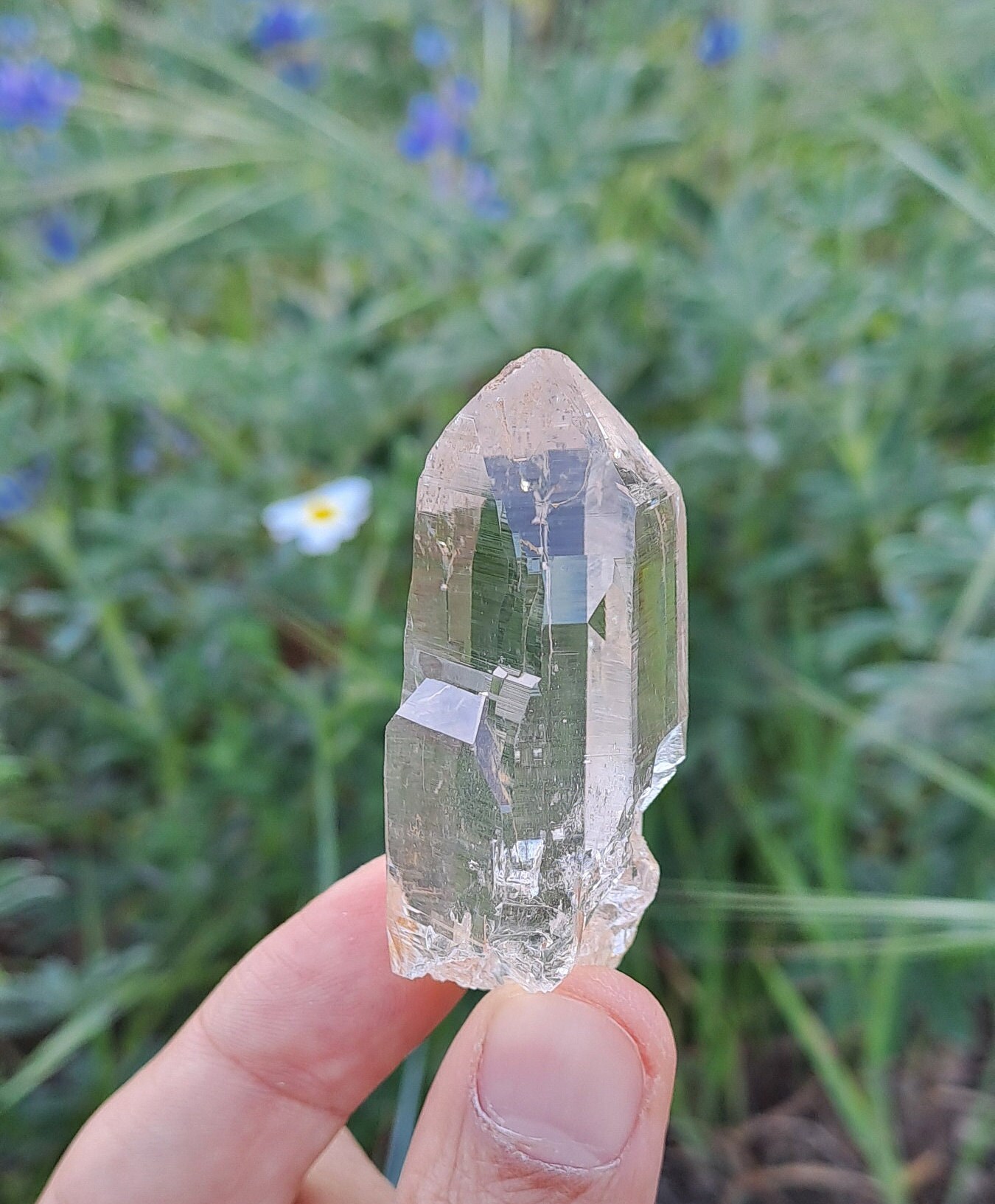 Optical Himalayan Hashupi Cathedral Quartz Crystal Self Healed W ...