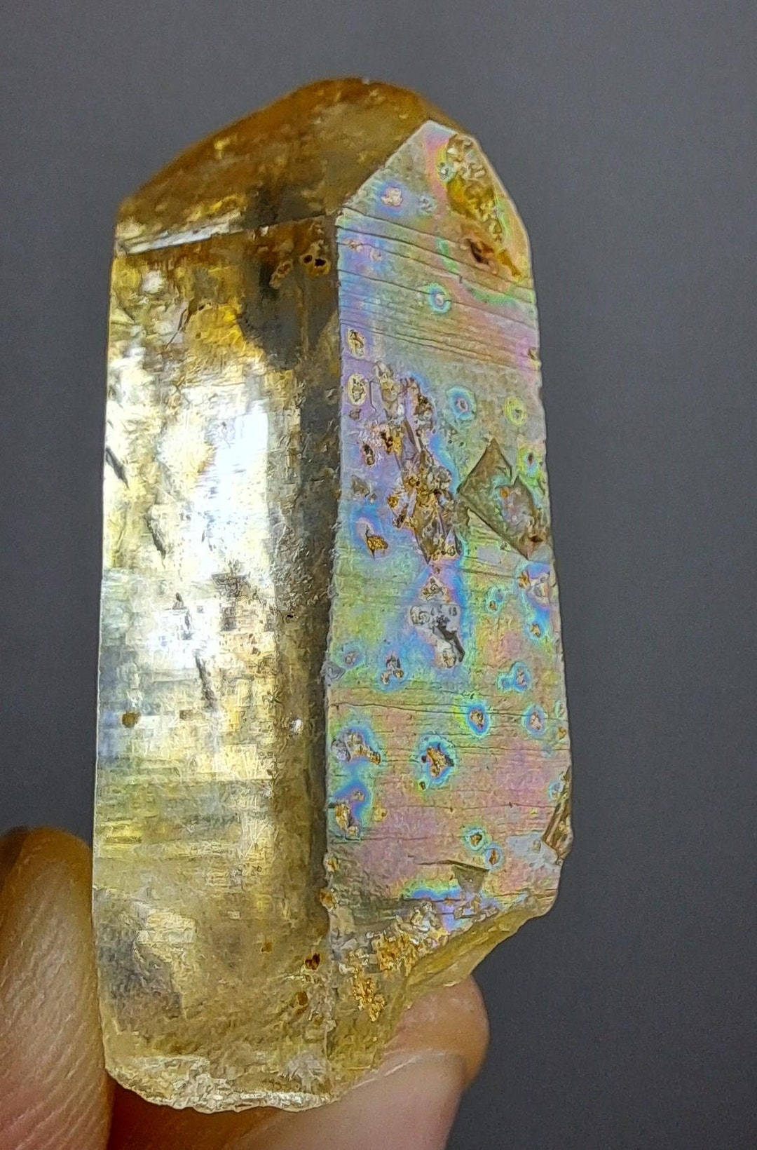 Himalayan Iridescent Lemurian Golden Healer Quartz Crystal W\ Barnacle ...