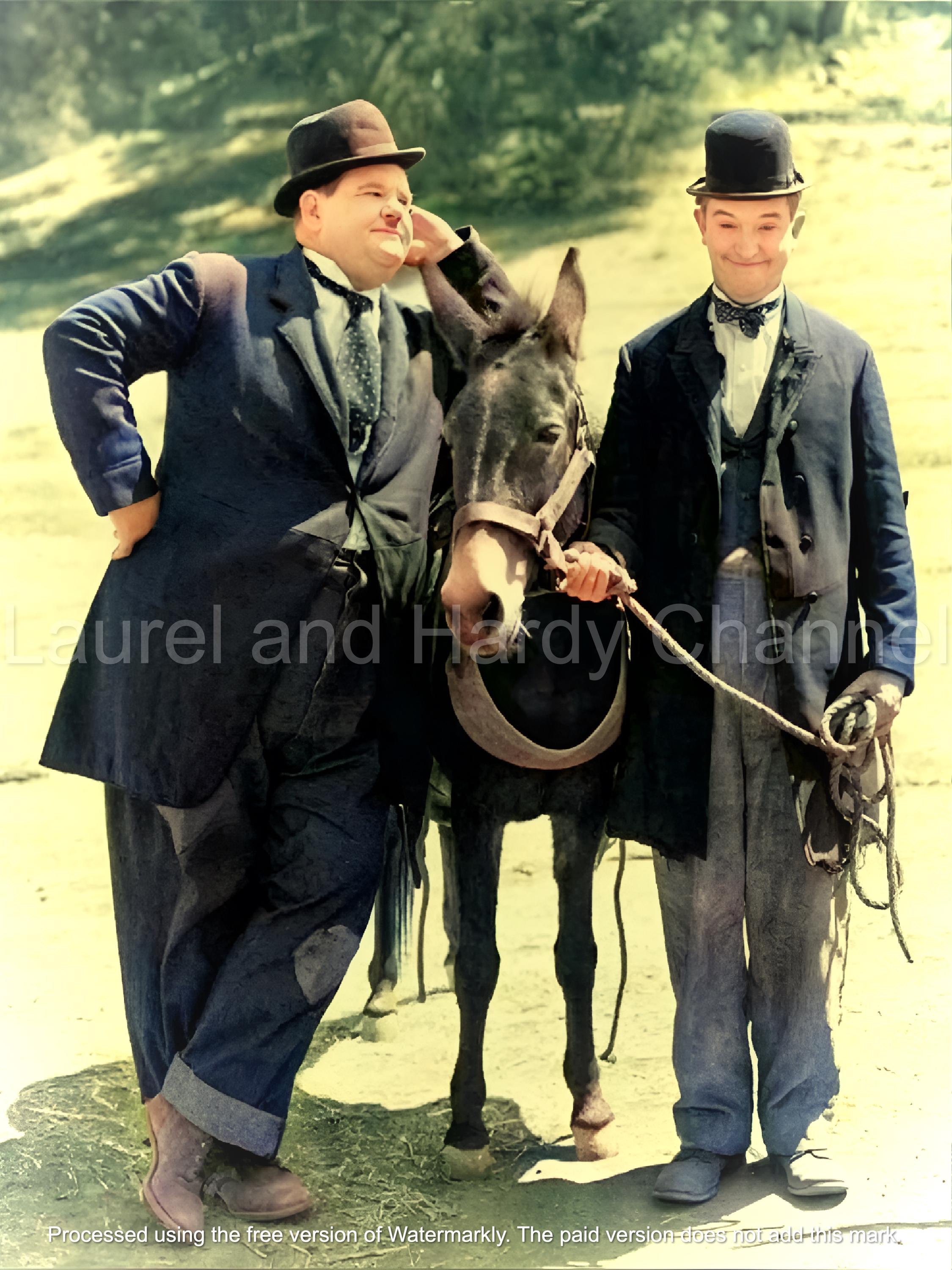 Laurel and Hardy Way Out West Funny Mule Donkey Picture Wild West Stan ...