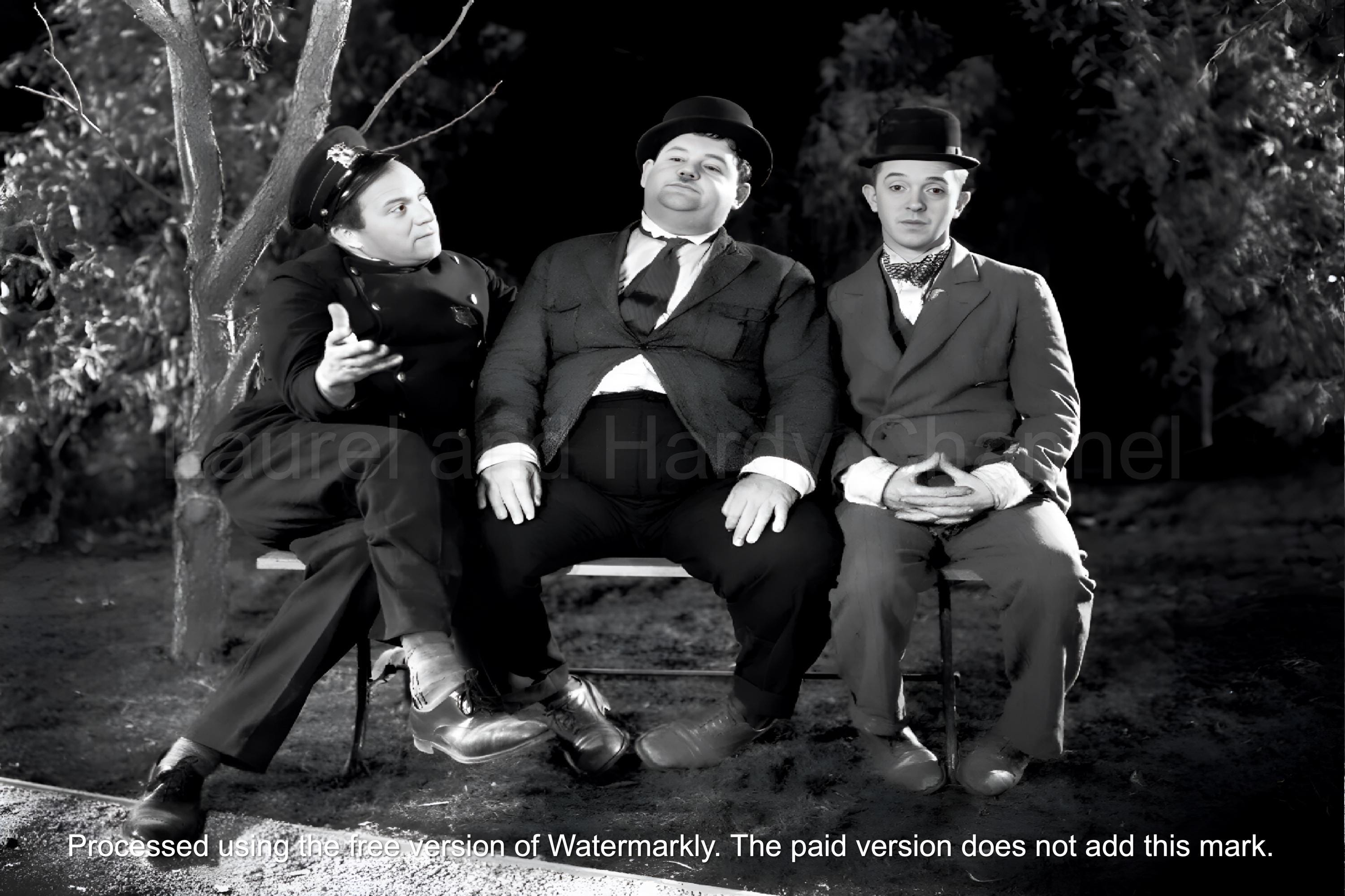Laurel and Hardy Night Owls Police Man Sitting on Park Bench Funny Stan ...