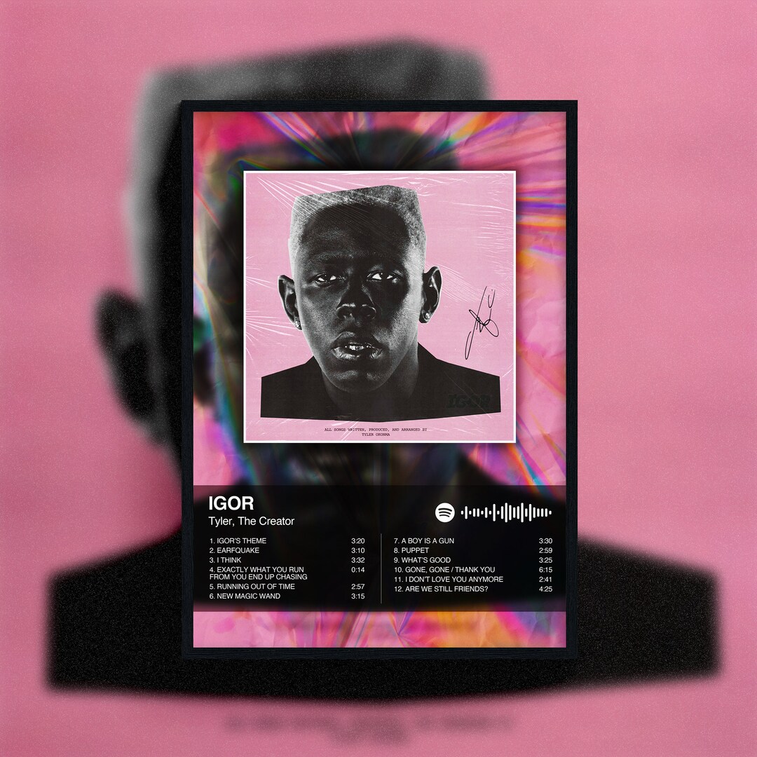 Tyler the Creator IGOR Album Cover Poster - Etsy
