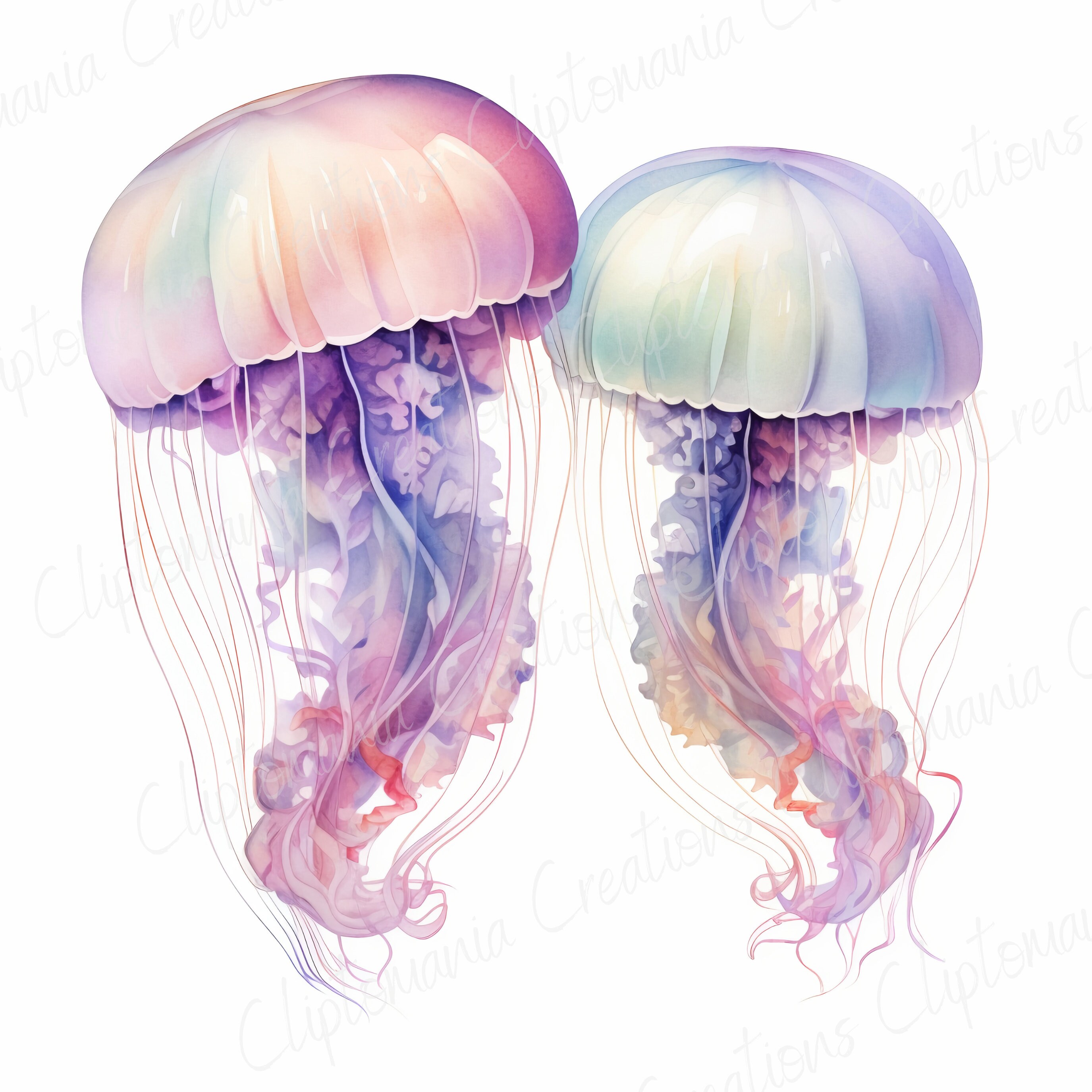Watercolour Jellyfish Clipart Bundle, 12 JPEG Images, Ocean Clipart ...