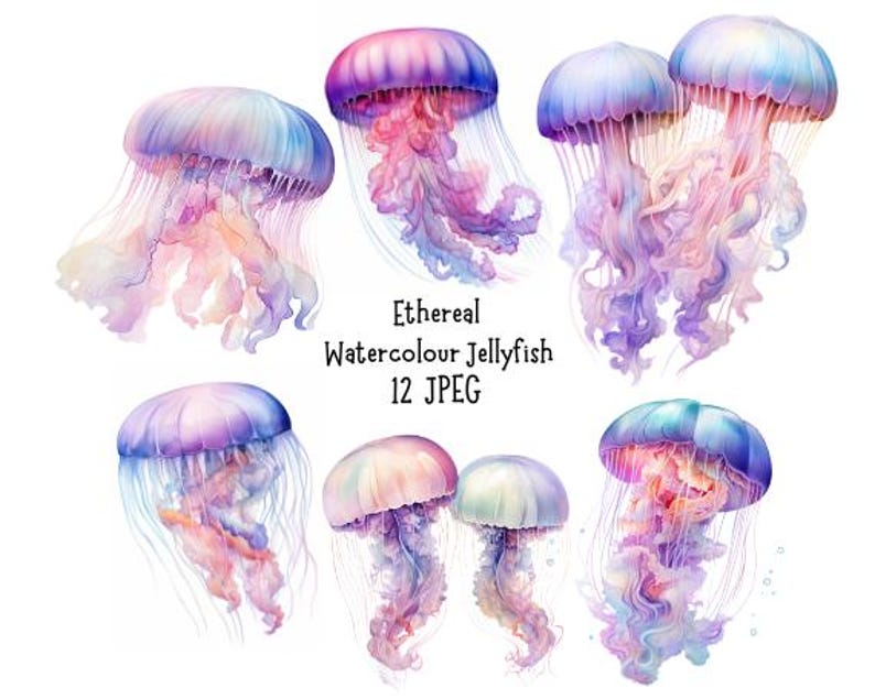 Watercolour Jellyfish Clipart Bundle, 12 JPEG Images, Ocean Clipart ...