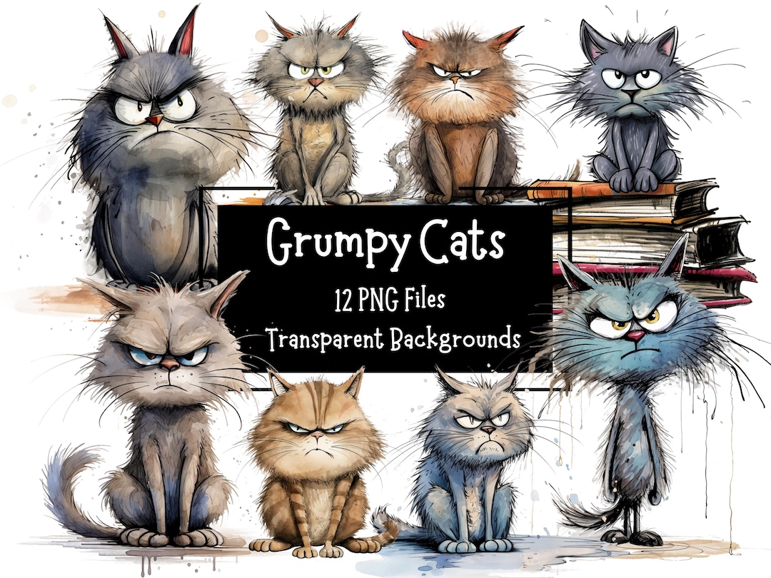 Funny Grumpy Cat PNG Clipart Bundle | Transparent Backgrounds ...