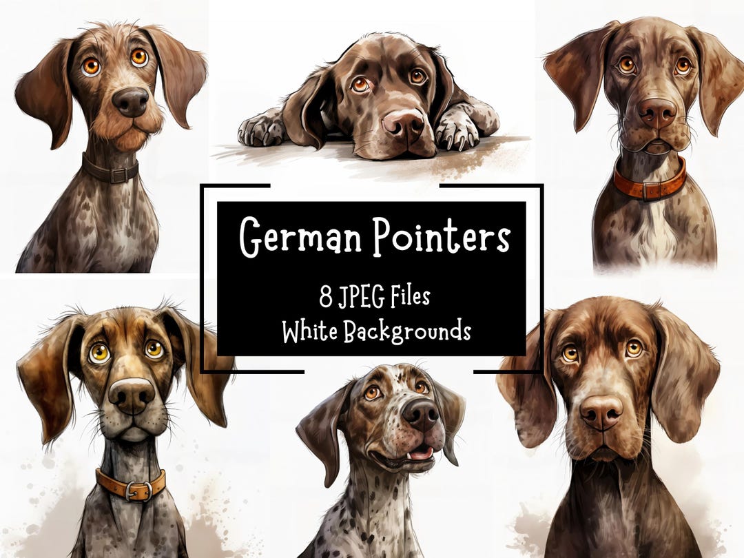 German Pointer Dog Clipart Bundle 8 JPEG Designs | Commercial Use ...