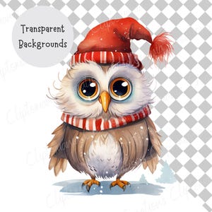 Cute Christmas Owls PNG Clipart Bundle | Transparent Backgrounds ...