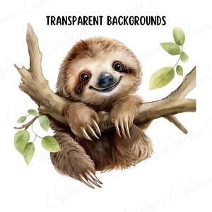 Cute Watercolour Sloths 12 PNG Clipart Bundle | Transparent Backgrounds ...