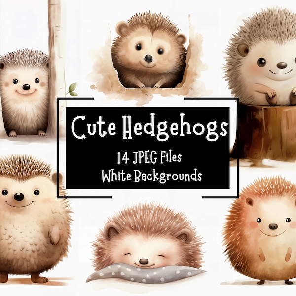 Hedgehog - Etsy