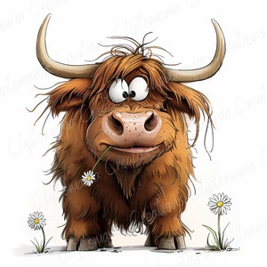 20 Funny Highland Cow Clipart Bundle JPEG Files White Backgrounds Funny ...
