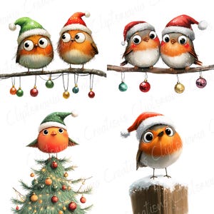 Cute & Funny Festive Robins 11 PNG Clipart Bundle | Transparent ...