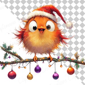 Quirky Festive Birds on A Branch 10 PNG Clipart Bundle | Transparent ...