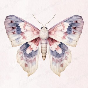 Pastel Moth PNG Clipart Graphics | Bundle of 15 Watercolour Boho Moths ...