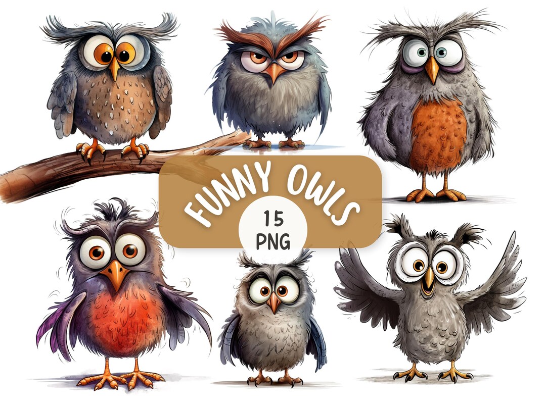 Funny Owl 15 PNG Clipart Bundle | Transparent Backgrounds | Quirky Owls ...