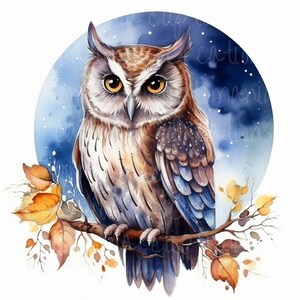 Watercolour Owl Clipart Bundle | 15 High Quality JPEG Images | Forest ...