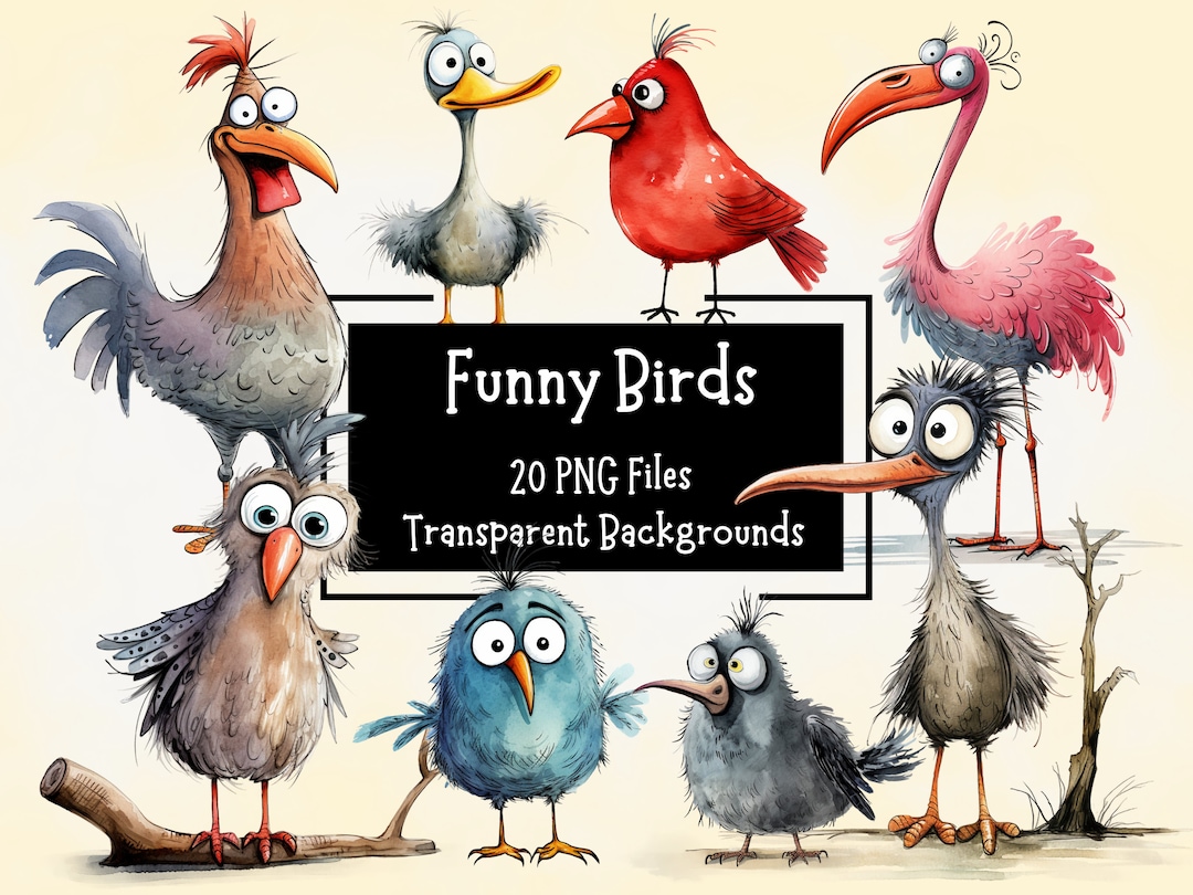 Funny Bird Clipart Bundle 20 PNG Files | Transparent Backgrounds ...