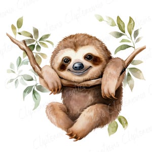 Cute Watercolour Sloths 12 PNG Clipart Bundle | Transparent Backgrounds ...