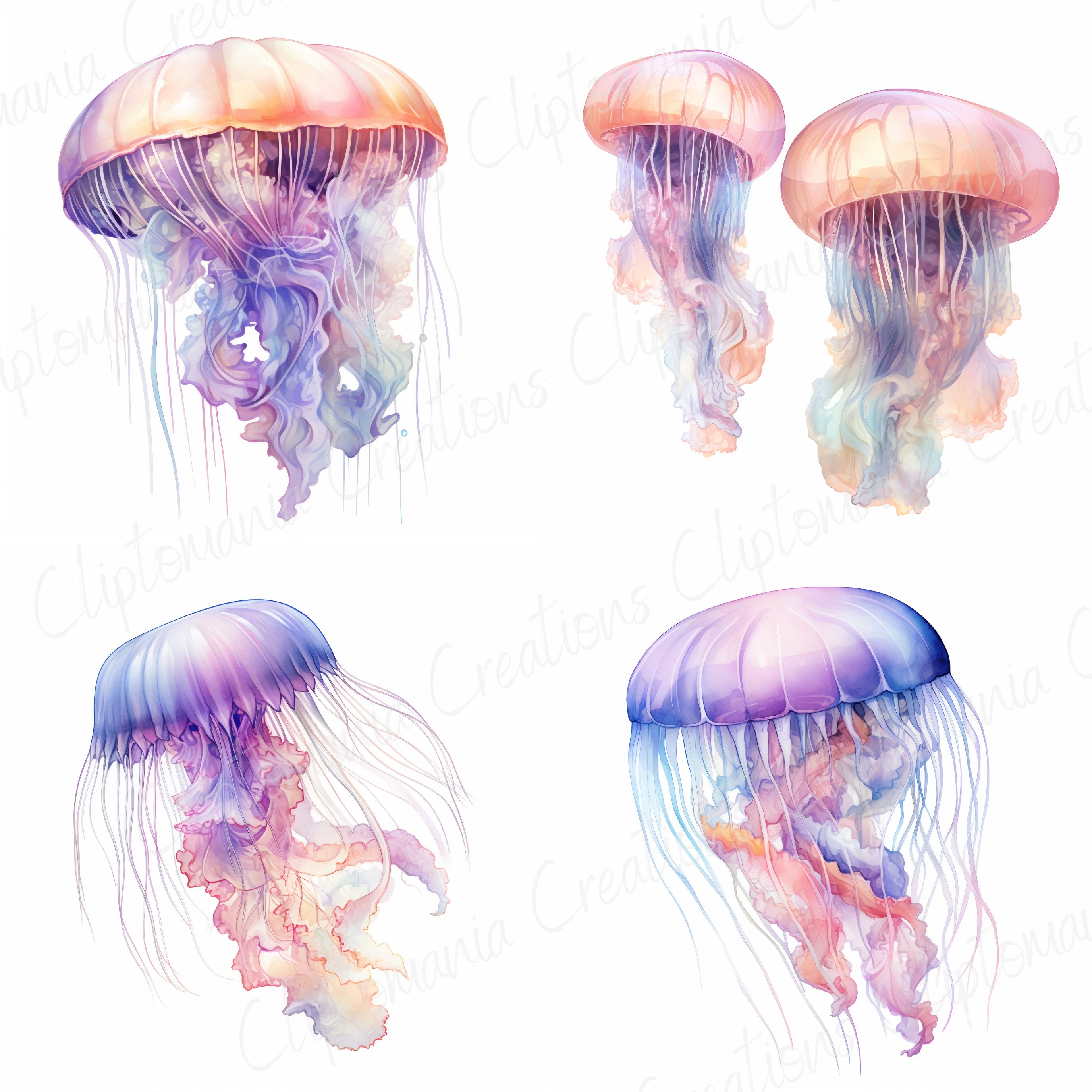 Watercolour Jellyfish Clipart Bundle, 12 JPEG Images, Ocean Clipart ...