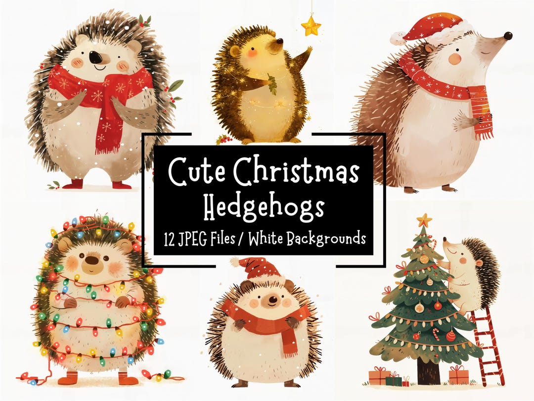 Cute Christmas Hedgehog Clipart Bundle 12 JPEG Designs | Printable ...