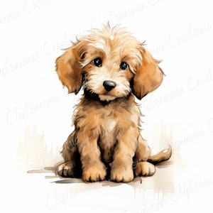 Cute Cockapoo Dog Clipart Bundle | 13 High Quality JPEG Illustrations ...