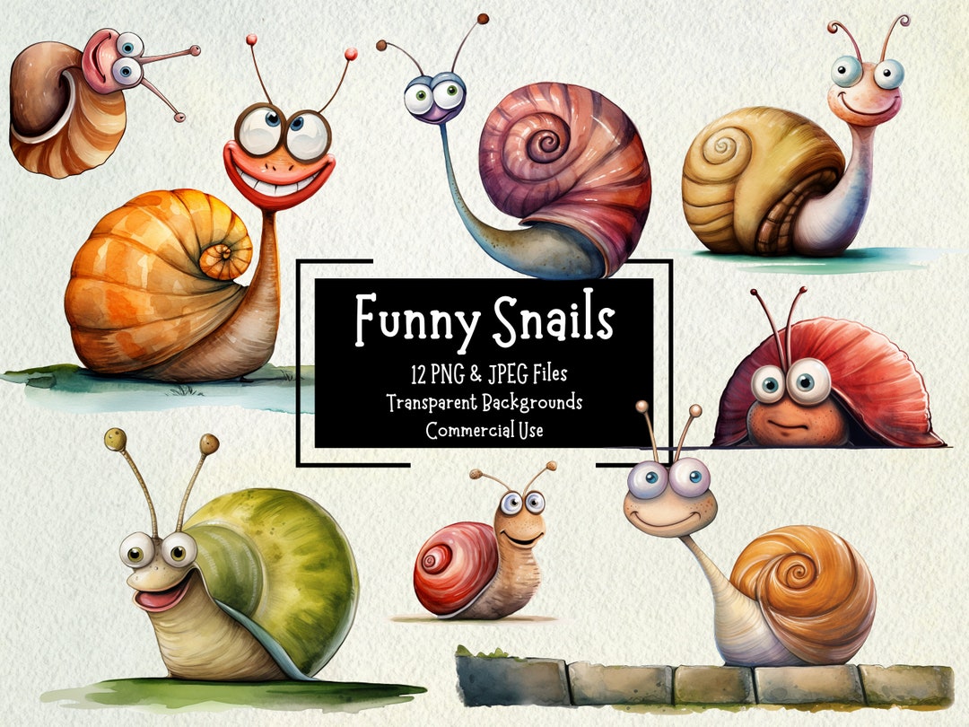 Cute and Funny Snail Clipart Bundle 12 PNG & JPEG Files | Transparent ...