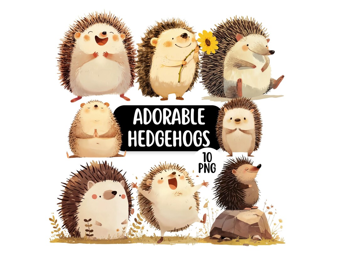 Adorable Hedgehog PNG Clipart Bundle, Cute Woodland Animals PNG, Forest ...