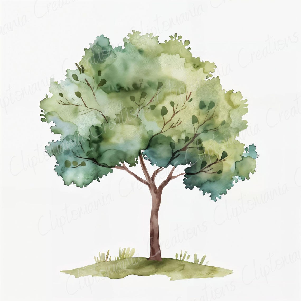 10 Simple Watercolour Trees Clipart Bundle | 300DPI JPEG Images With ...