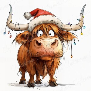 Cute & Funny Festive Highland Cow Clipart Bundle 10 JPEG Graphics White ...
