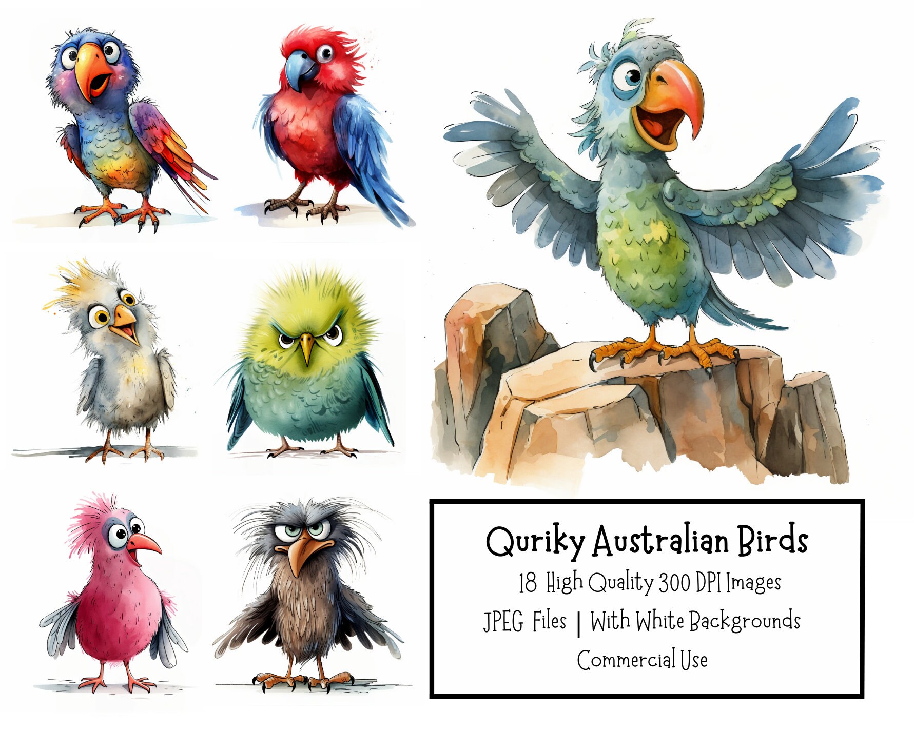 Cute and Funny Australian Bird Clipart Bundle 18 High Quality 300DPI ...
