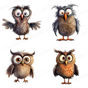 Funny Owl 15 PNG Clipart Bundle | Transparent Backgrounds | Quirky Owls ...
