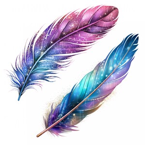 Glitter Feather Clipart | Blue, Purple & Pink Feathers | 12 High ...