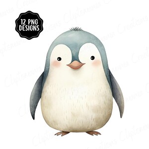 Cute Penguin Clipart Bundle | Baby Penguin Pngs | Winter Animal Digital ...