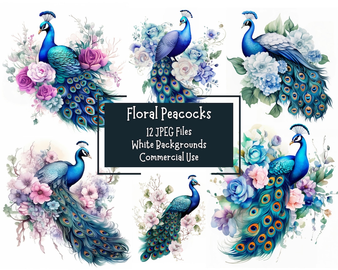 Floral Peacock Clipart Bundle | 12 JPEG Images With Backgrounds ...