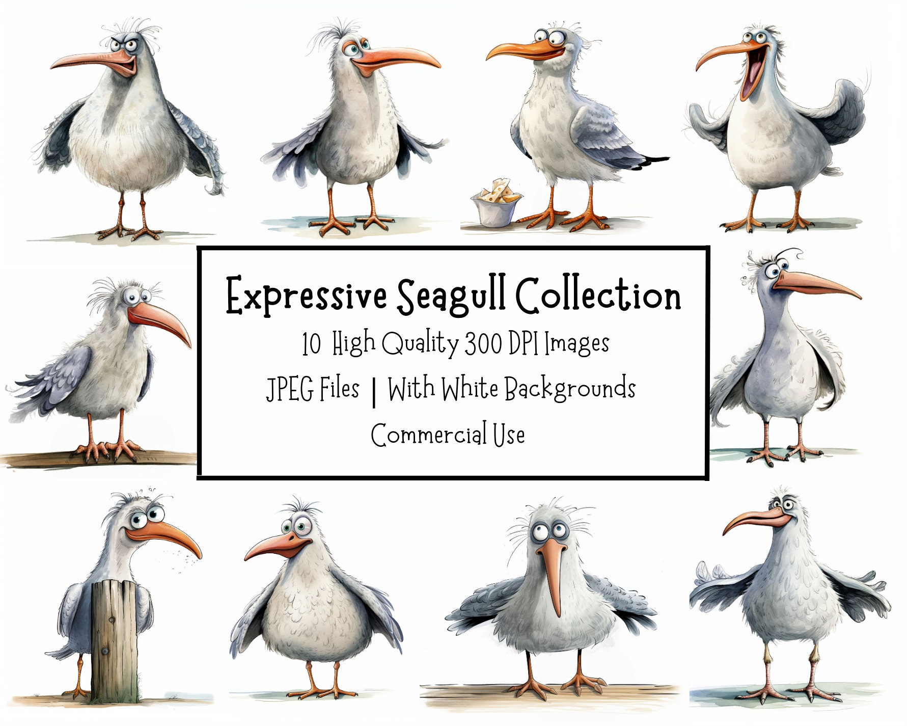 Funny Expressive Seagull Clipart Bundle 10 High Quality 300DPI Images ...