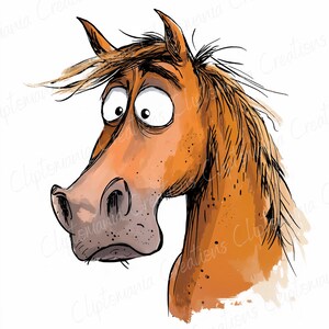 Quirky Horse Faces Clipart Bundle 12 JPEG Designs Commercial Use Funny ...